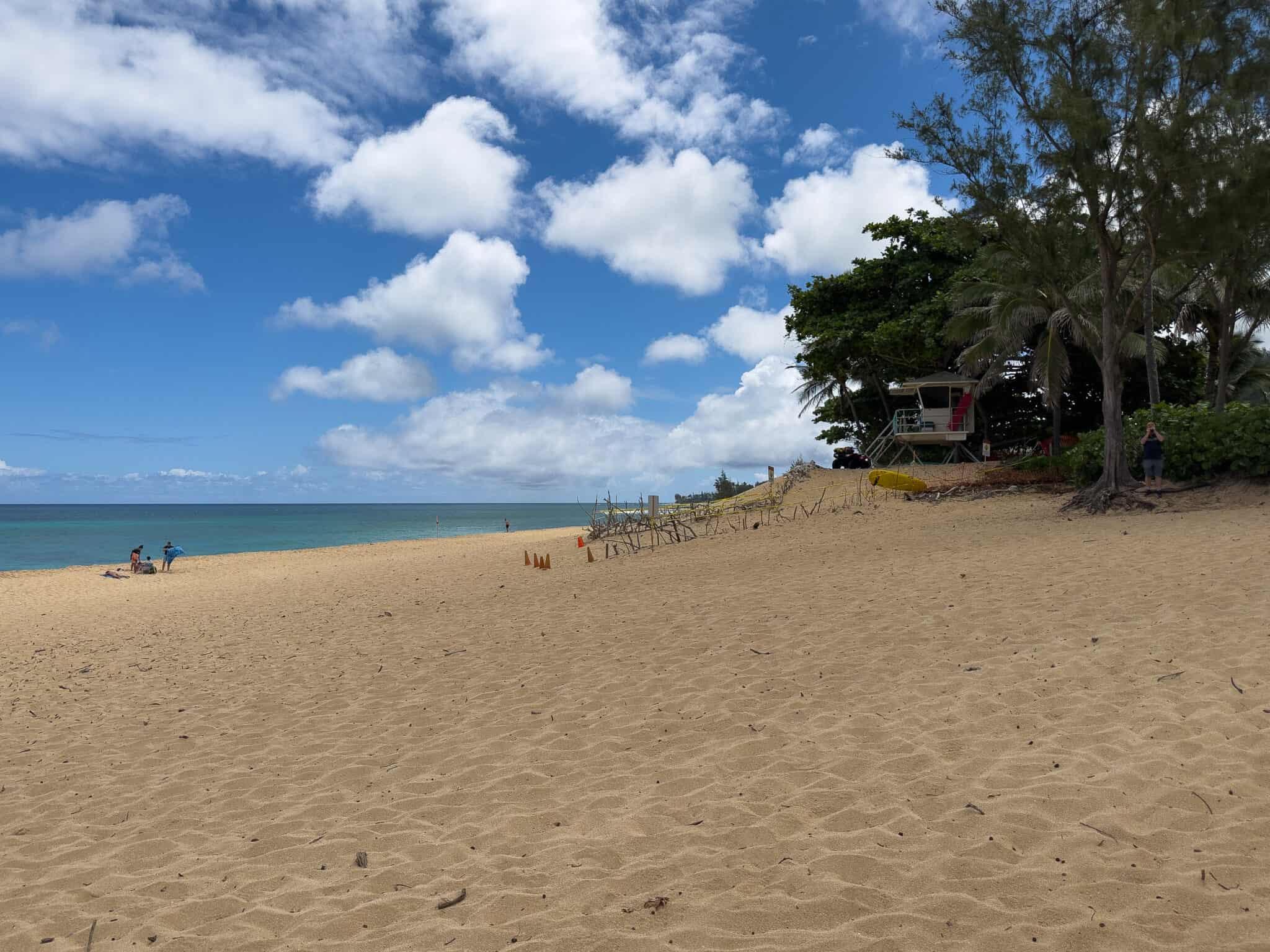 Ehukai Beach Park: Ultimate Visitor’s Guide to Oahu’s Surfing Gem – Go Oahu